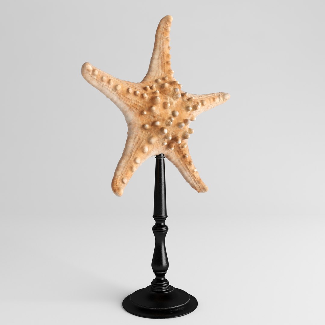 3d model sea stars starfish stand
