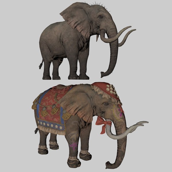 Asian Elephant Cinema 4D Models for Download | TurboSquid
