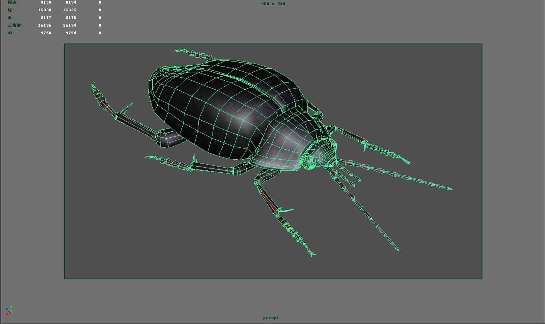 Insects Lice 3D Model - TurboSquid 1312017