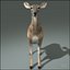 doe deer 3d obj