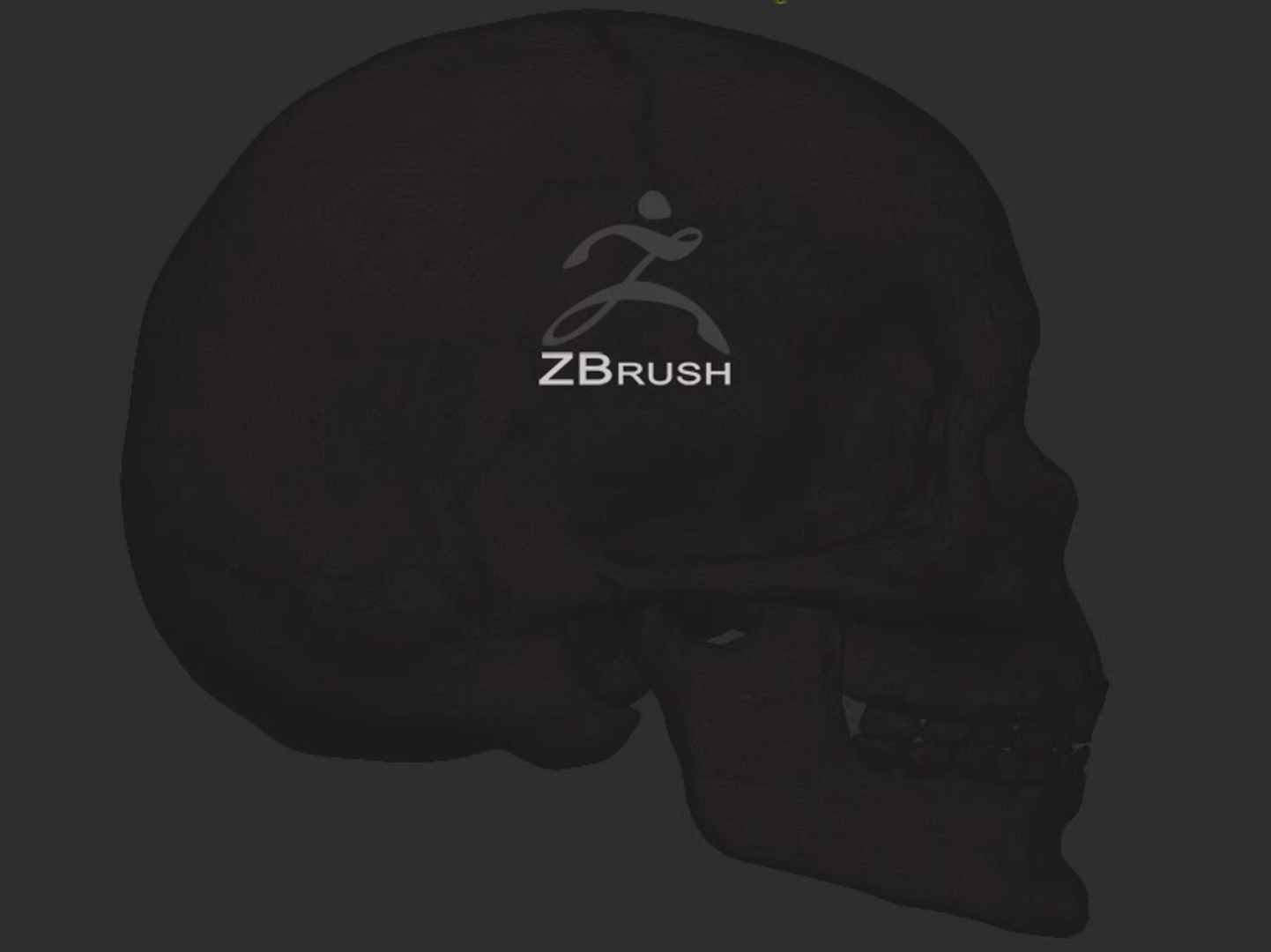 Skull 3d Obj