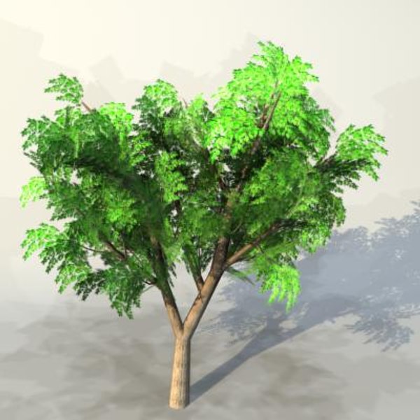 pc tree 3d max