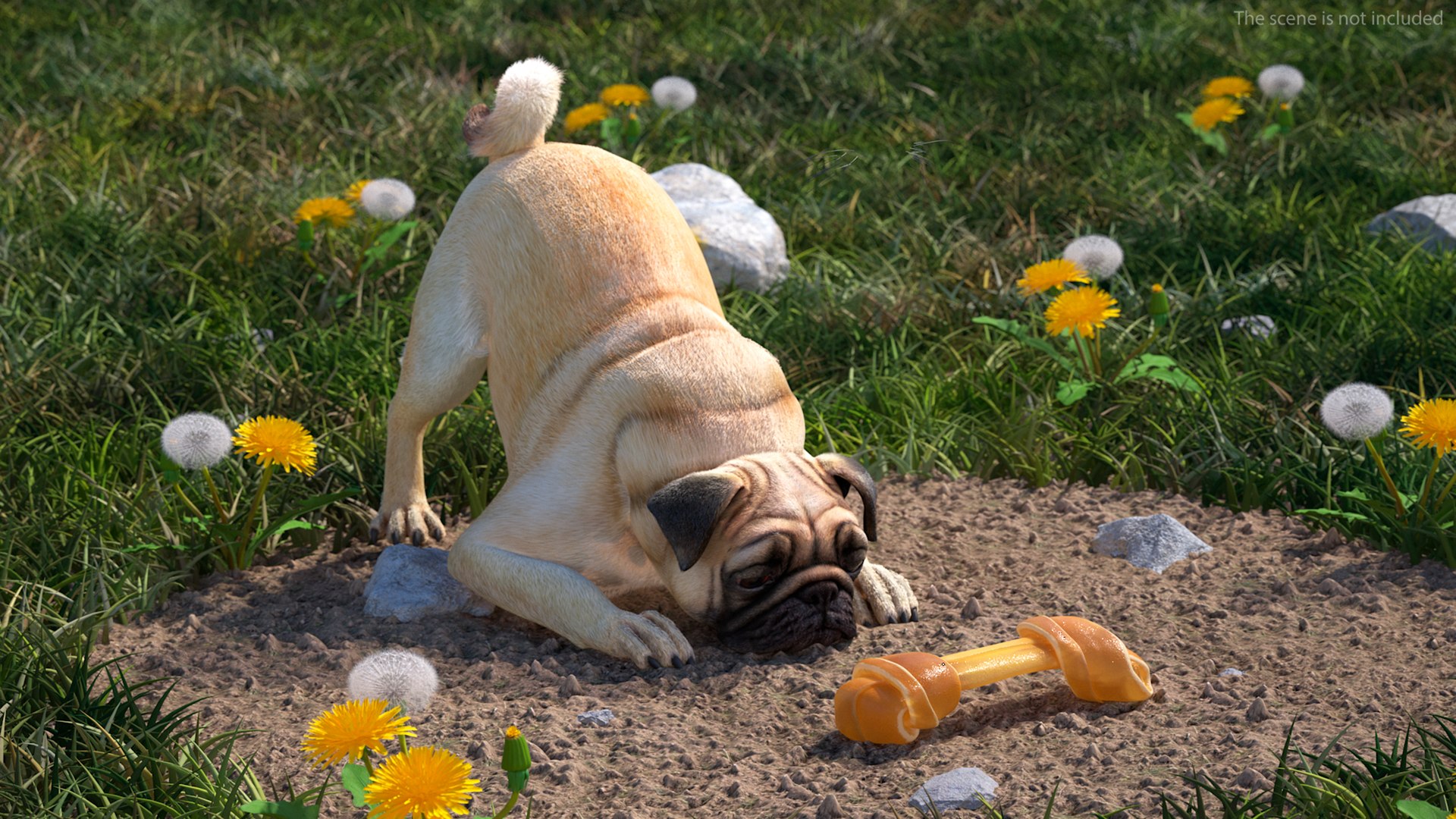 3D Chewing Dog Chew Bone - TurboSquid 2094954