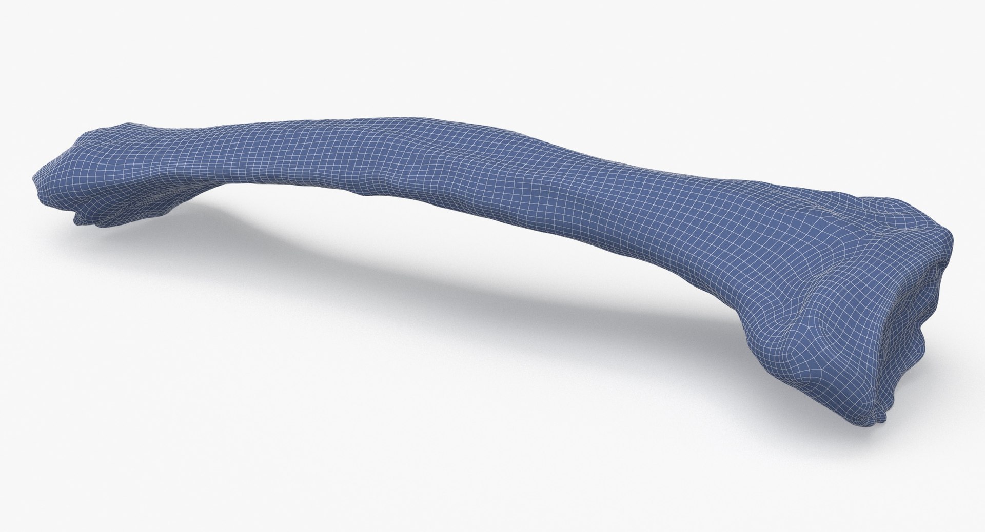 3D Domestic Dog Hyoid Apparatus Epihyoid Bone 01(1) - TurboSquid 2102560