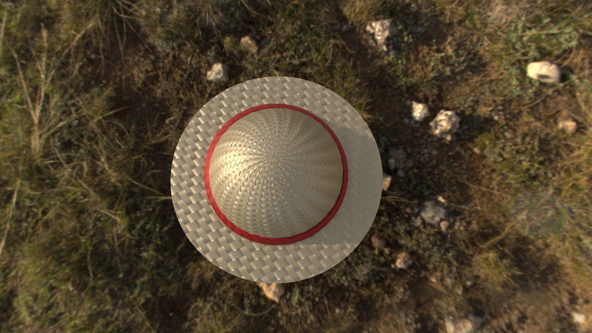 Straw Hat 3D Model - TurboSquid 2431159