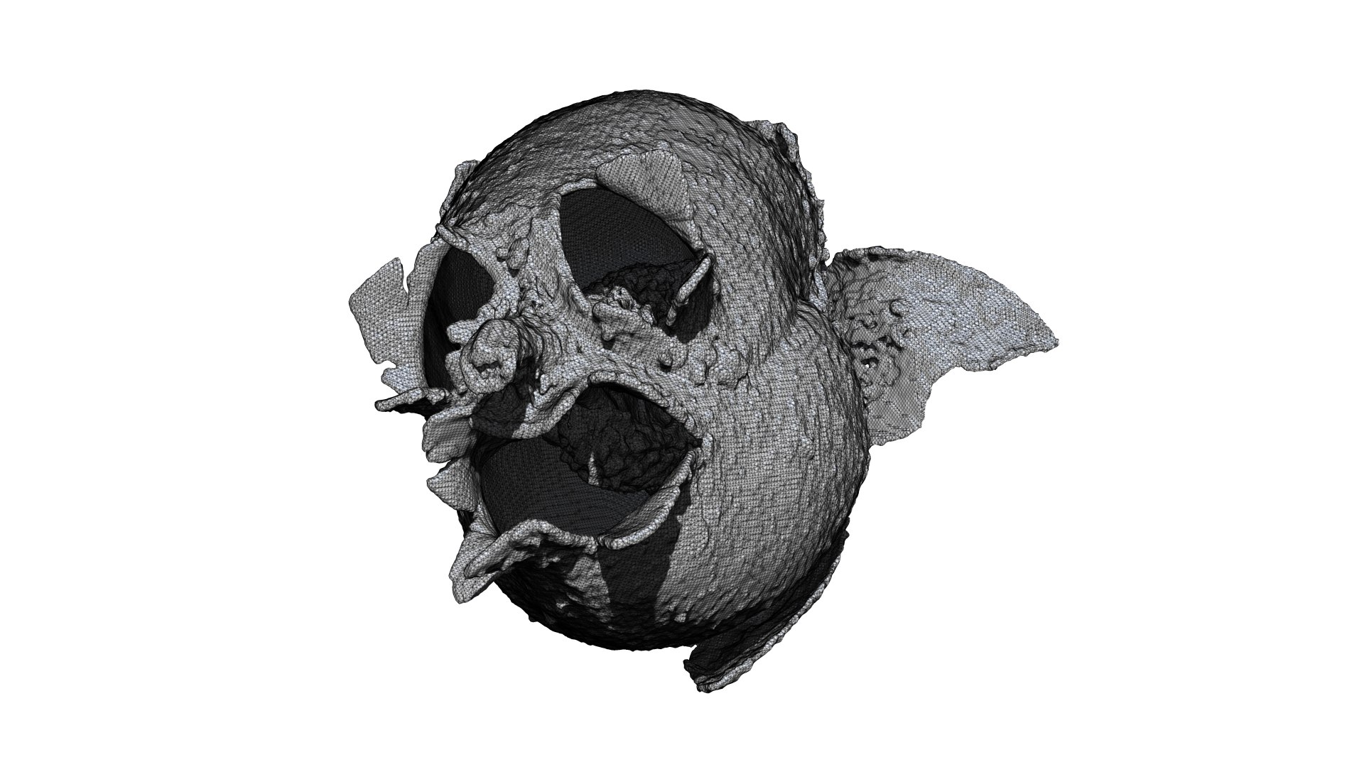 Antirrhinum Majus 3D CT Scan Model Model - TurboSquid 1965596