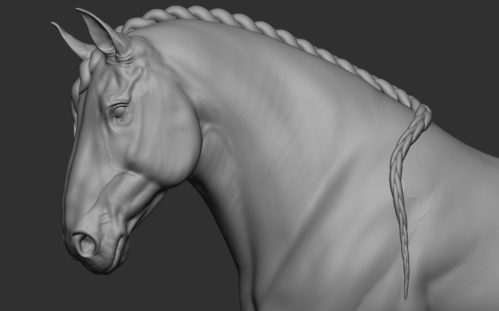 Shire Horse 3D Model - TurboSquid 2110325