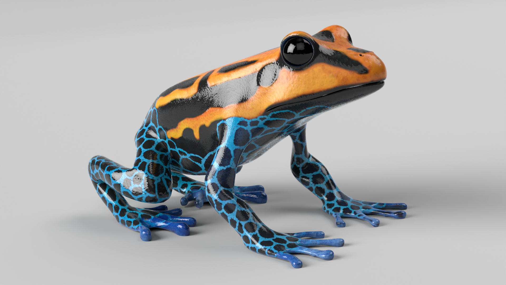 Reptile And Amphibian Set 3D Model - TurboSquid 2129817