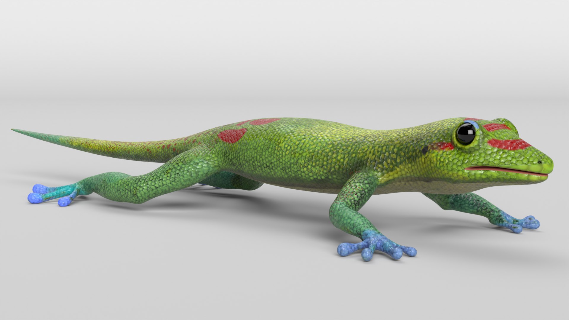 Reptile And Amphibian Set 3D Model - TurboSquid 2129817