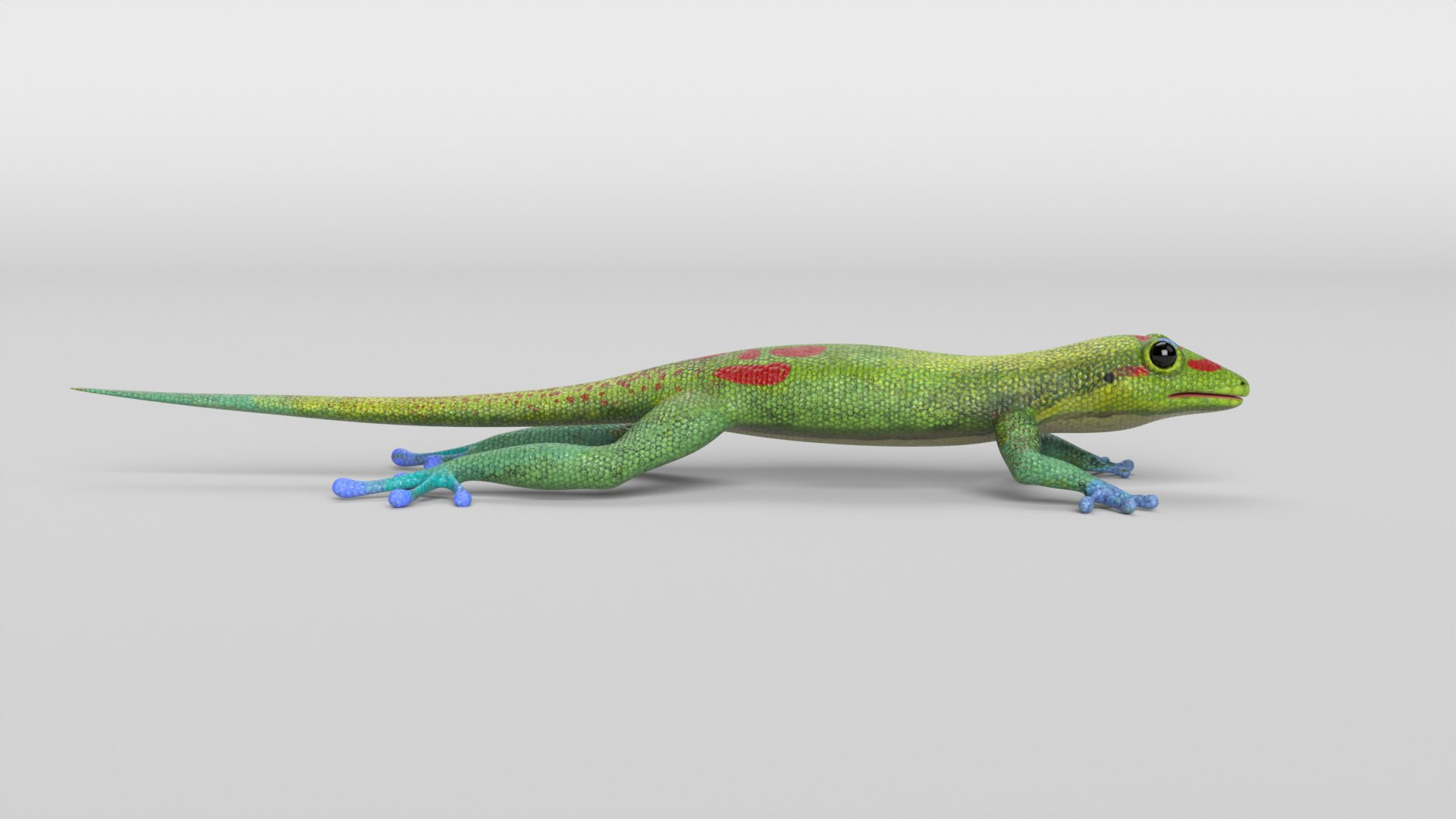 Reptile And Amphibian Set 3D Model - TurboSquid 2129817