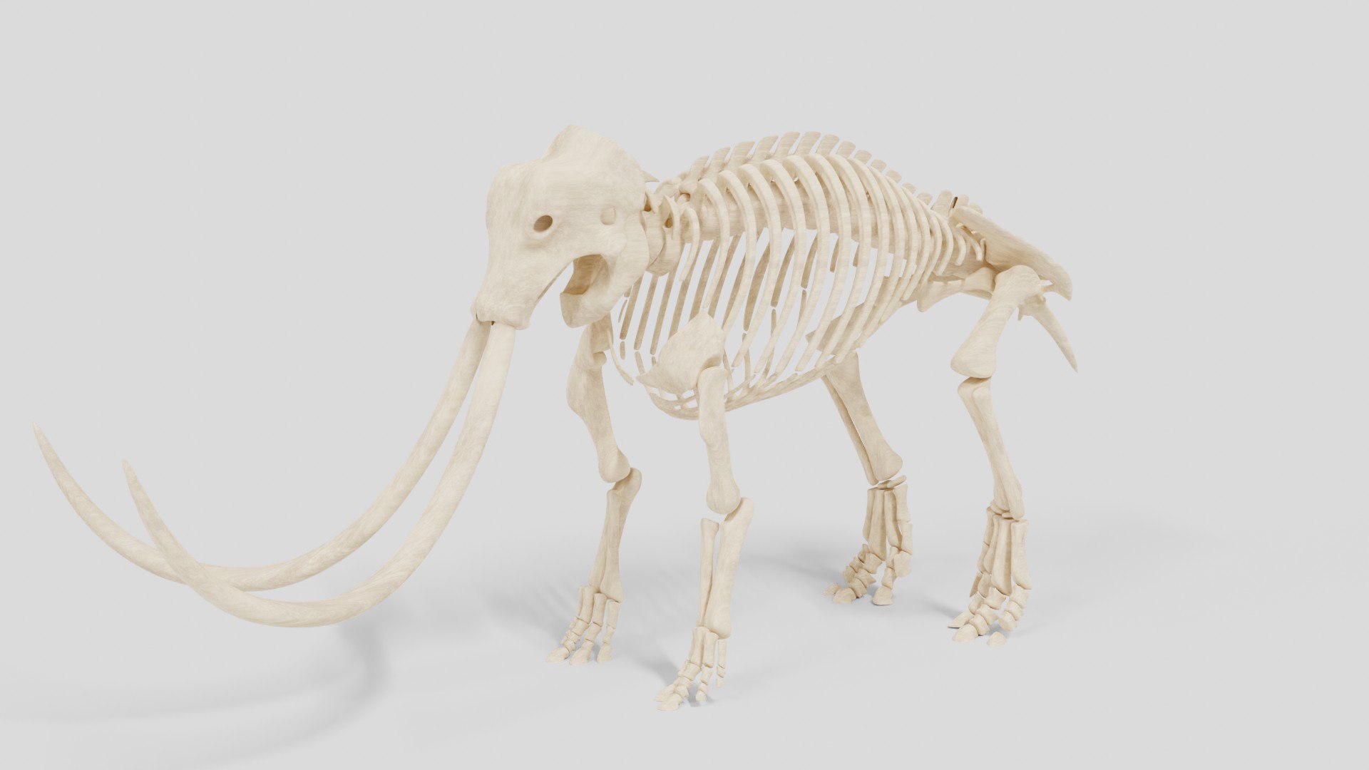 3D Mammoth Skeleton Model - TurboSquid 2115271