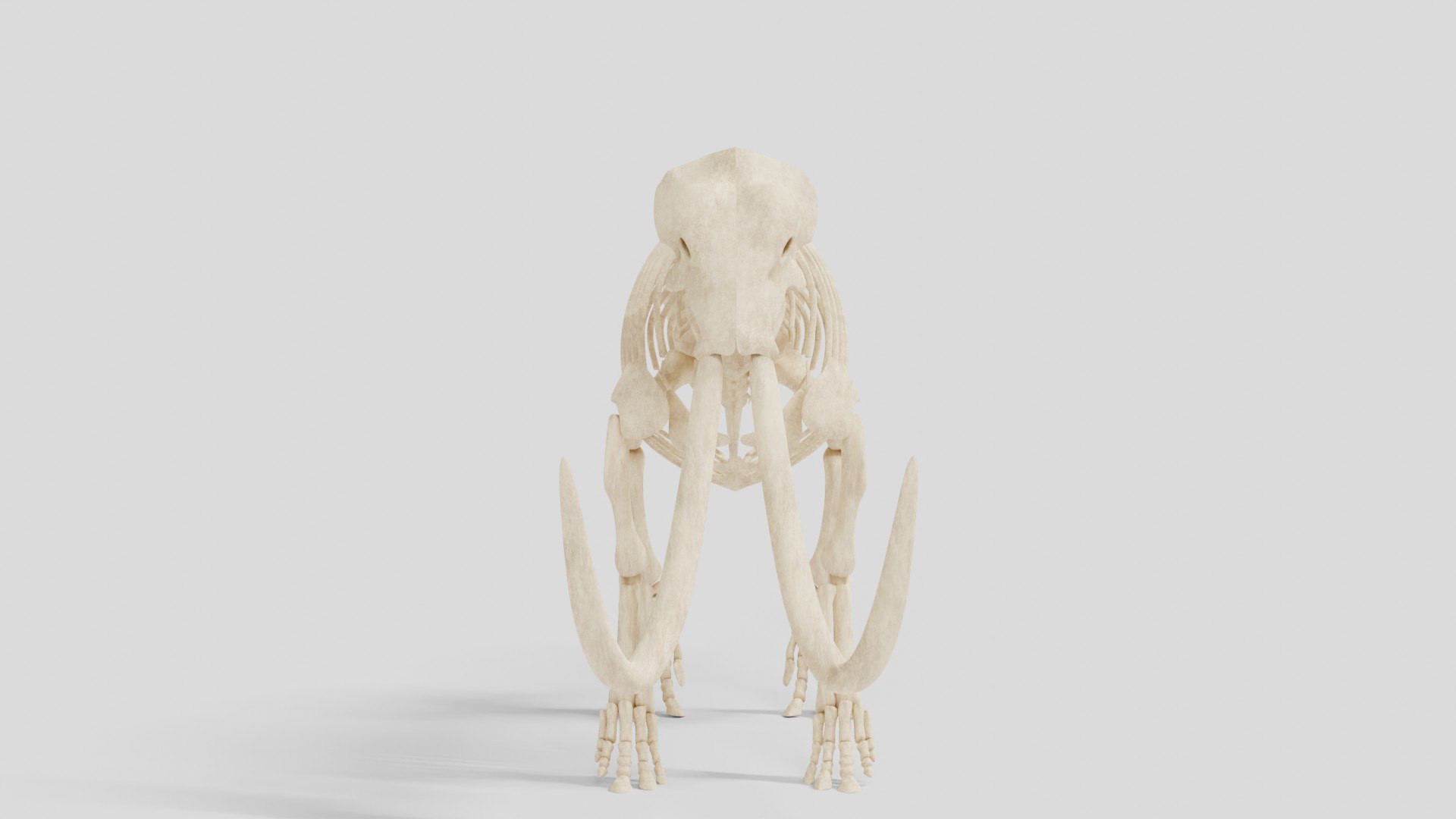 3D Mammoth Skeleton Model - TurboSquid 2115271