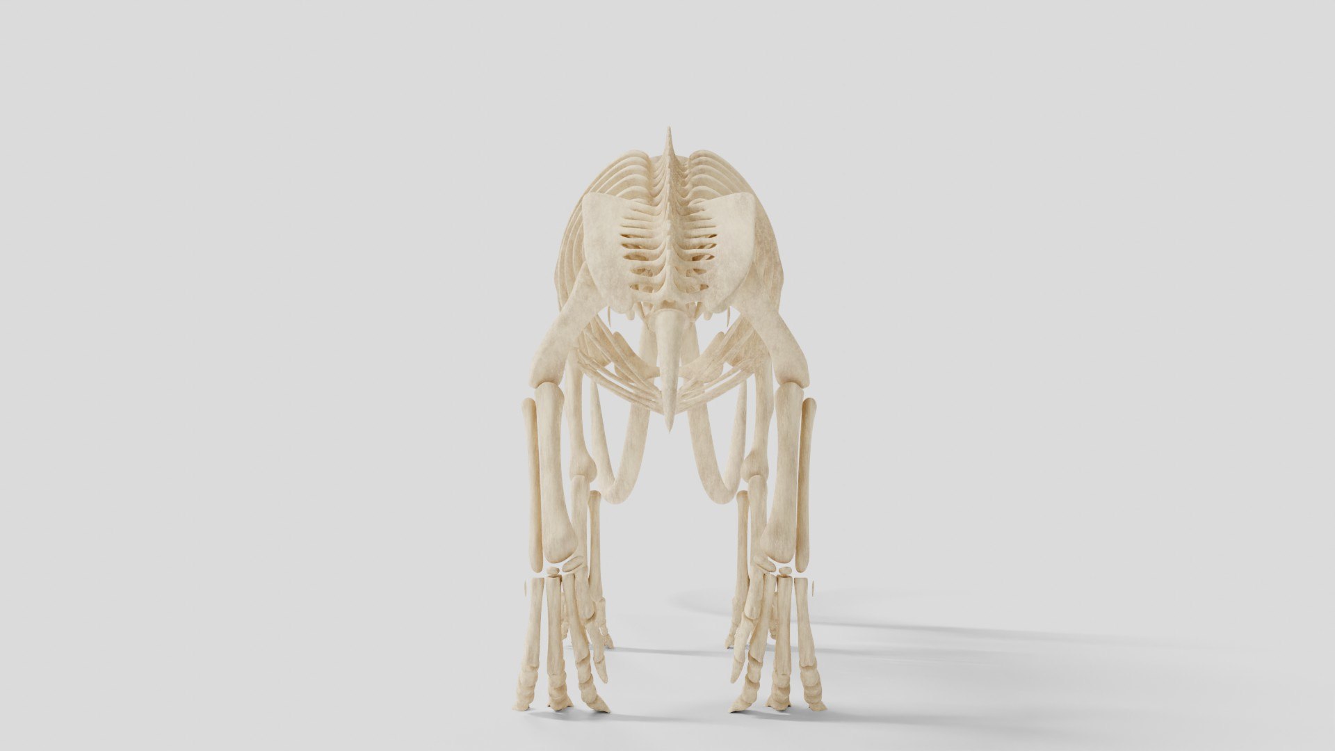3D Mammoth Skeleton Model - TurboSquid 2115271