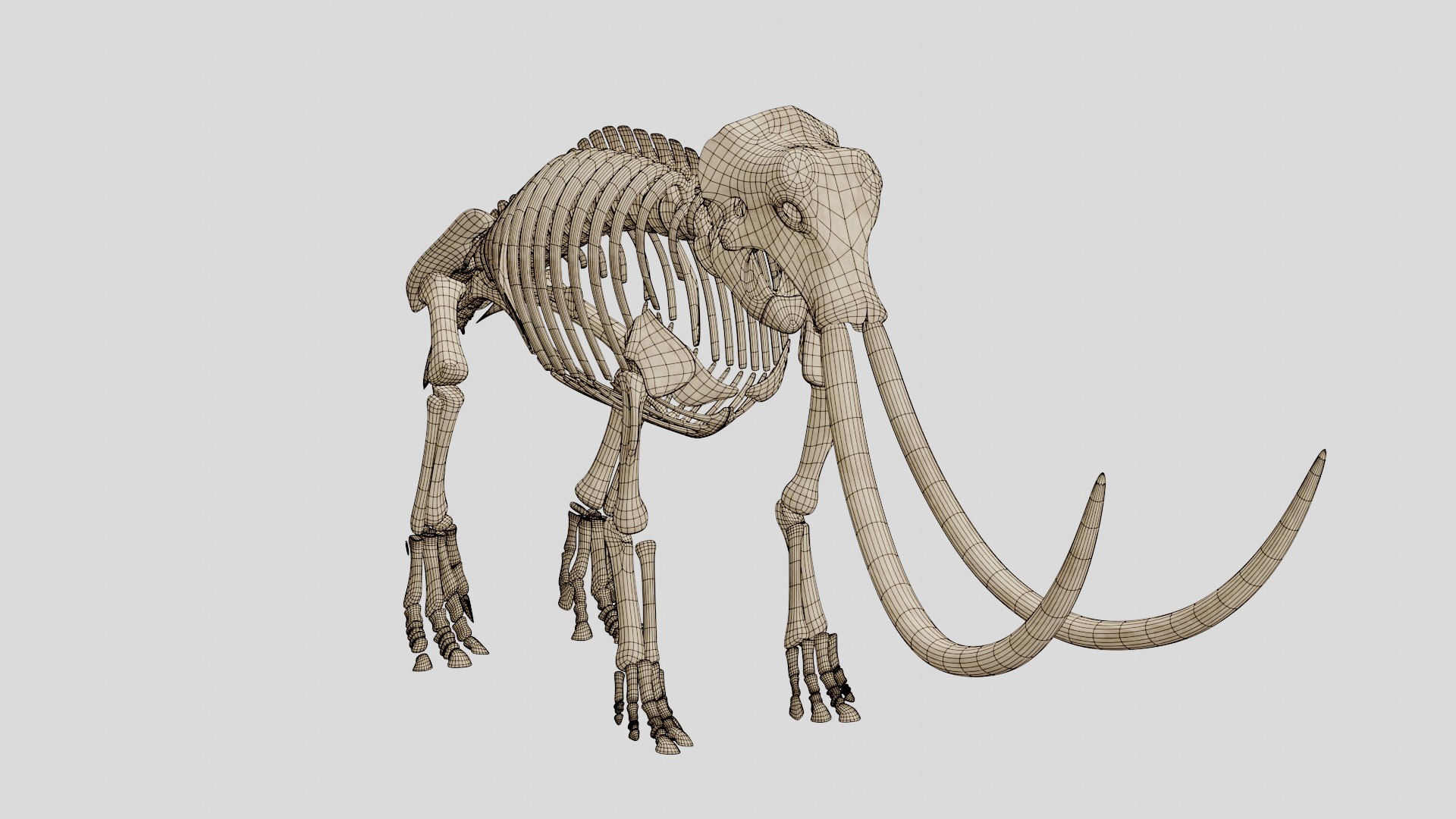 3D Mammoth Skeleton Model - TurboSquid 2115271