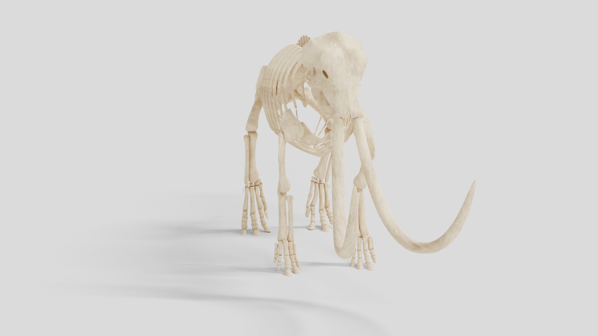 3D Mammoth Skeleton Model - TurboSquid 2115271