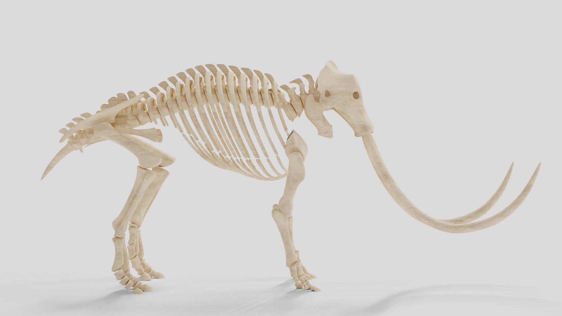 3D Mammoth Skeleton Model - TurboSquid 2115271