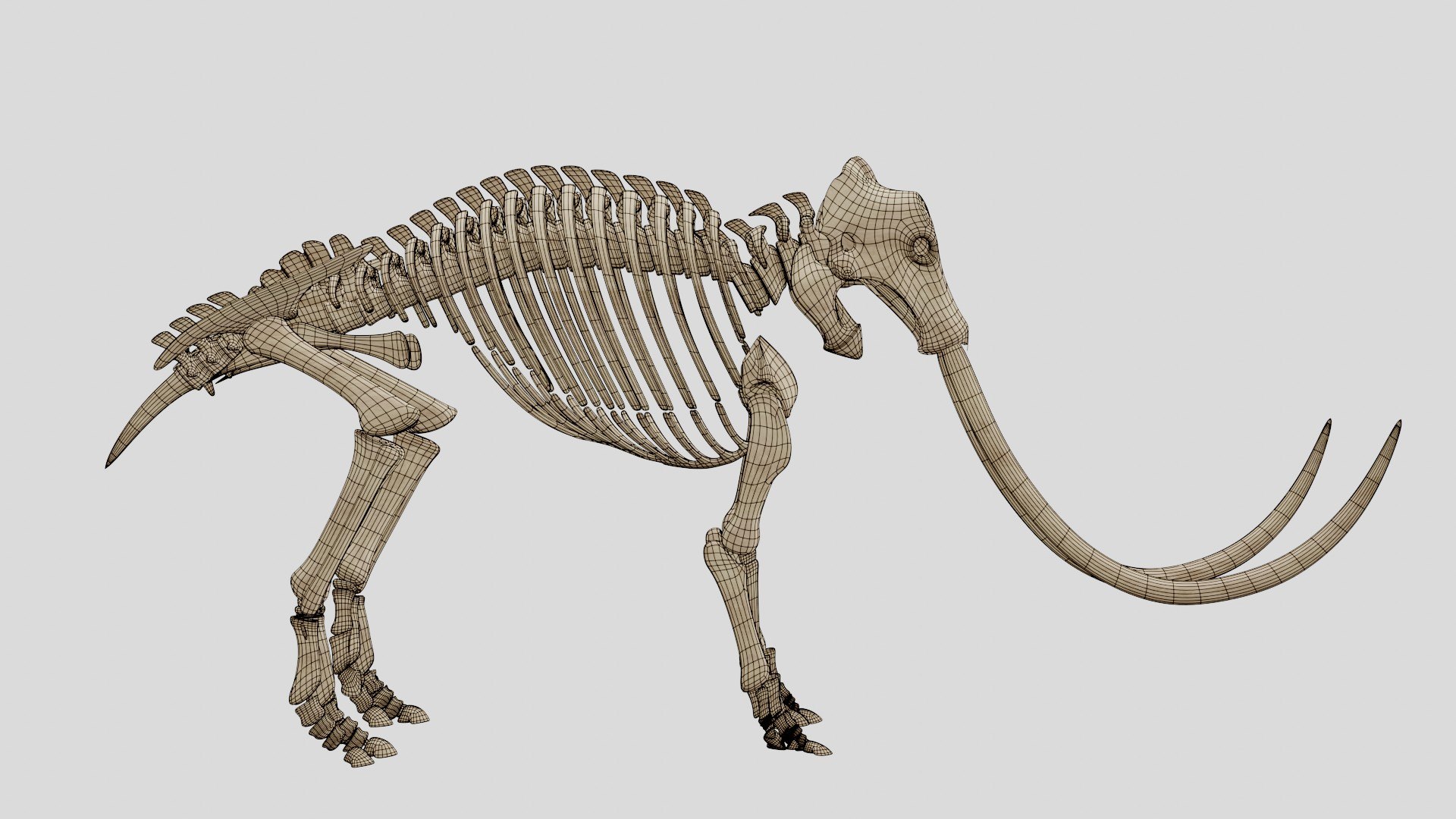 3D Mammoth Skeleton Model - TurboSquid 2115271