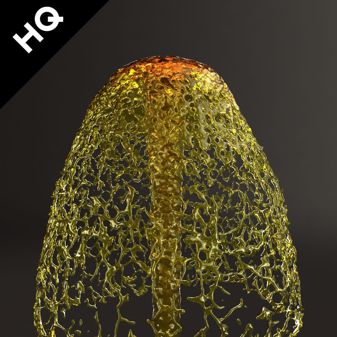 3d Model Splash Realflow Flow