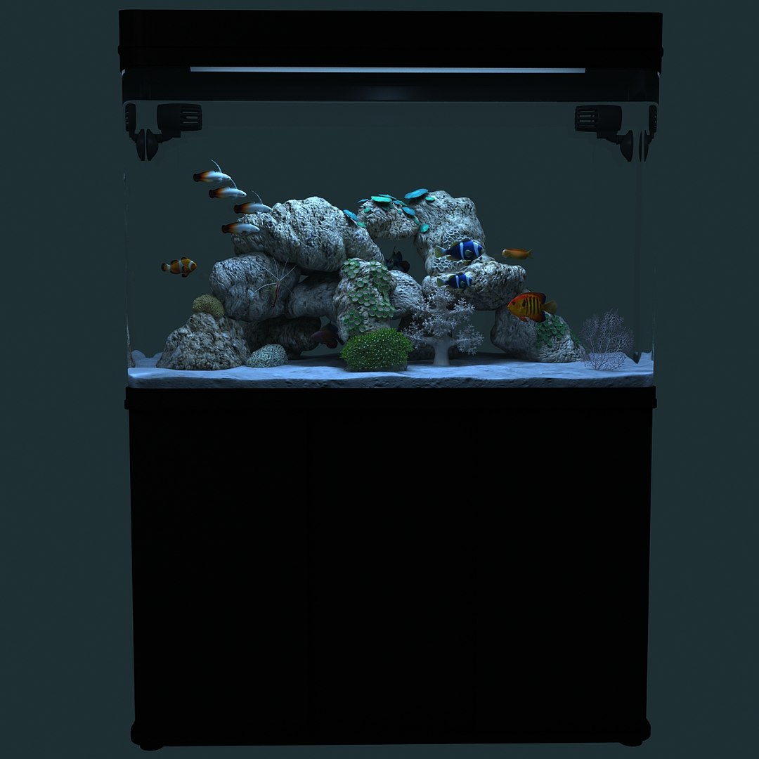 3d Model Marine Aquarium