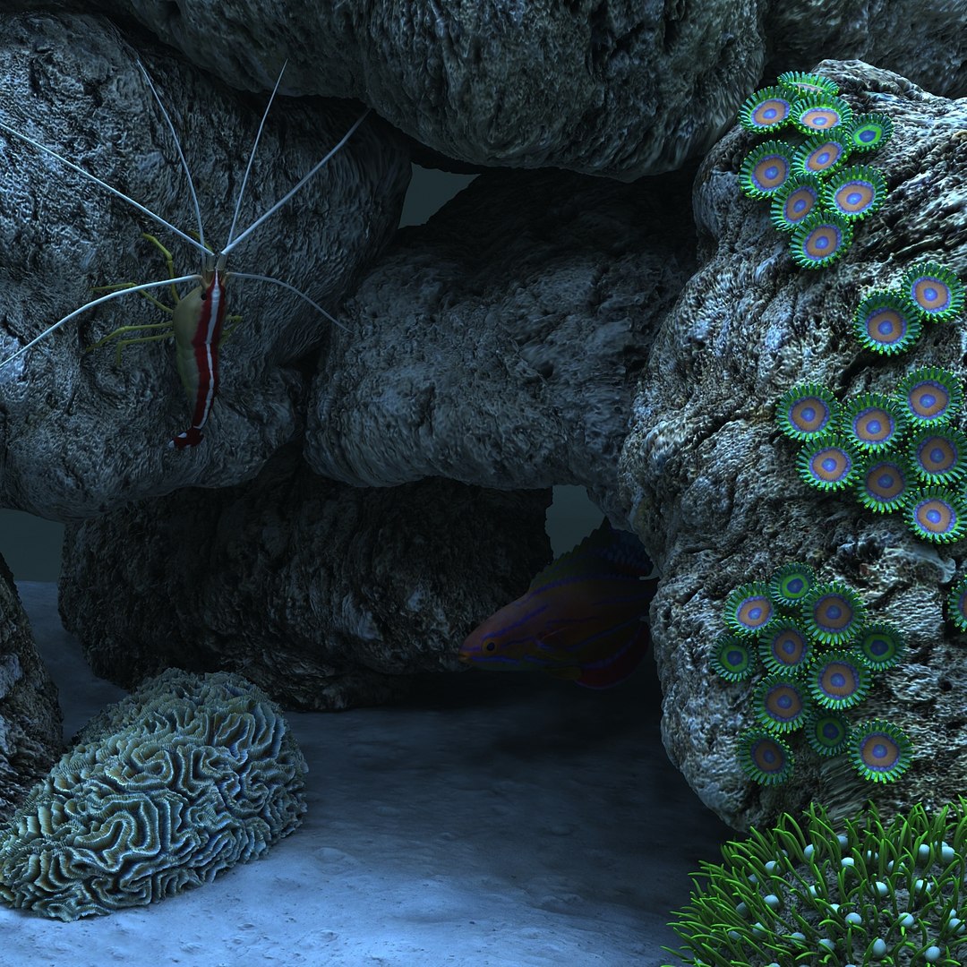 3d Model Marine Aquarium