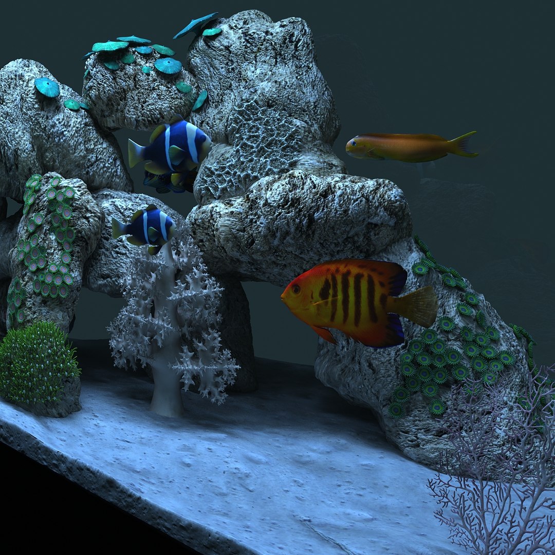 3d Model Marine Aquarium