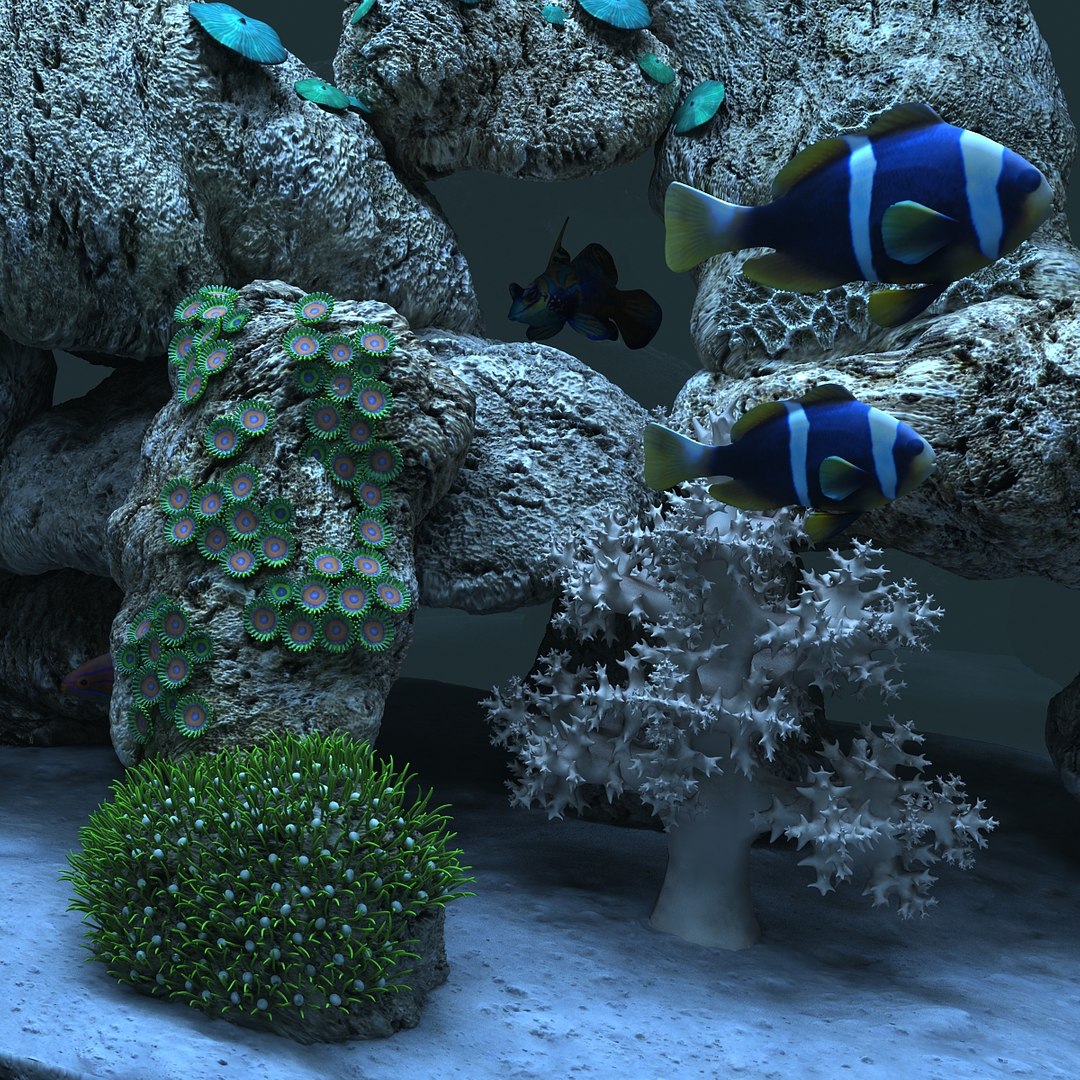 3d Model Marine Aquarium