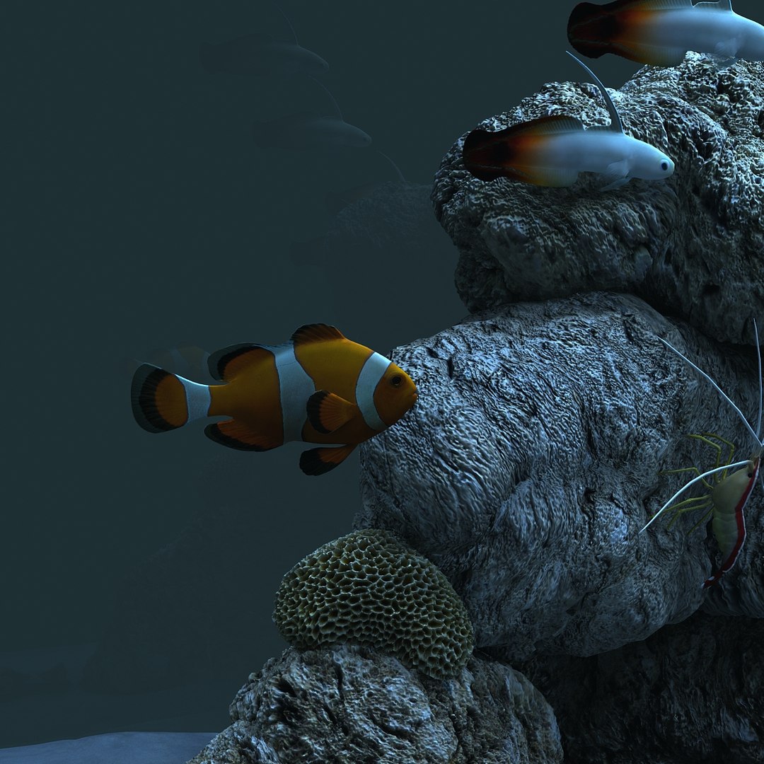 3d Model Marine Aquarium