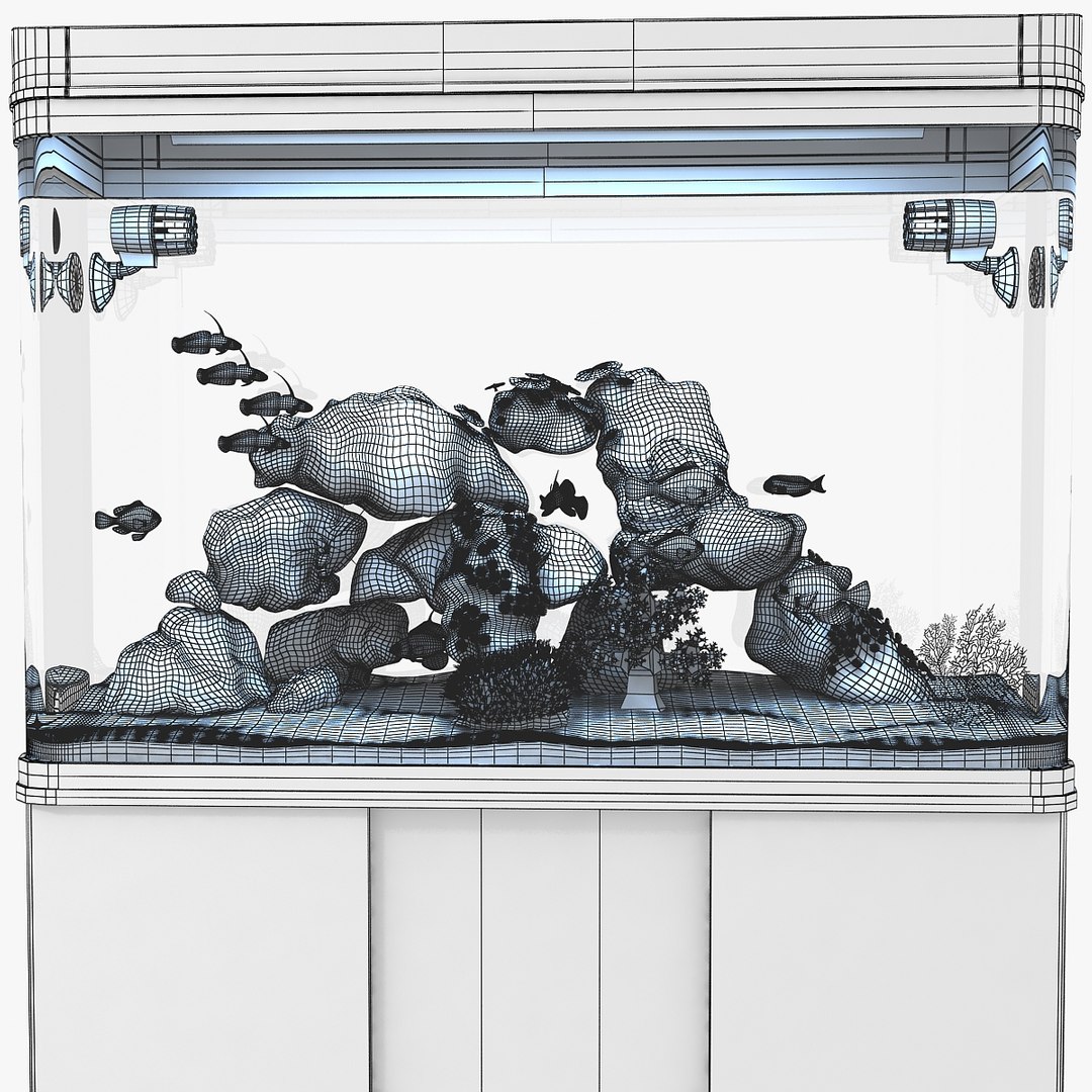 3d model marine aquarium