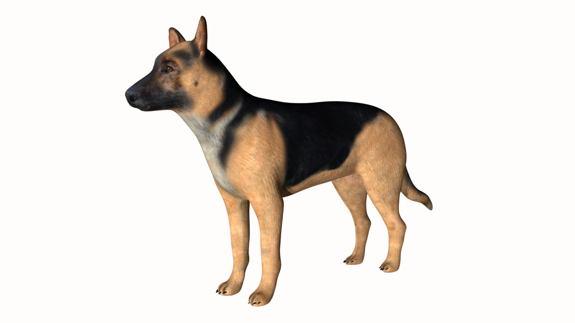 German Shepherd Model - TurboSquid 1764674