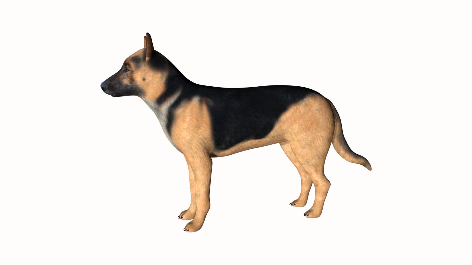 German Shepherd Model - TurboSquid 1764674