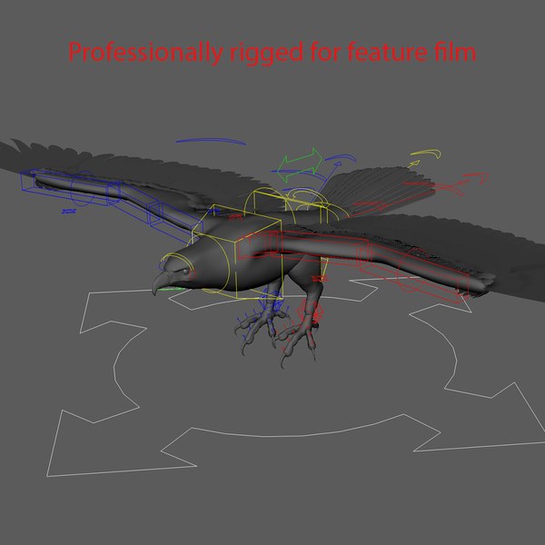 3D bald eagle rigged modelled model - TurboSquid 1377645
