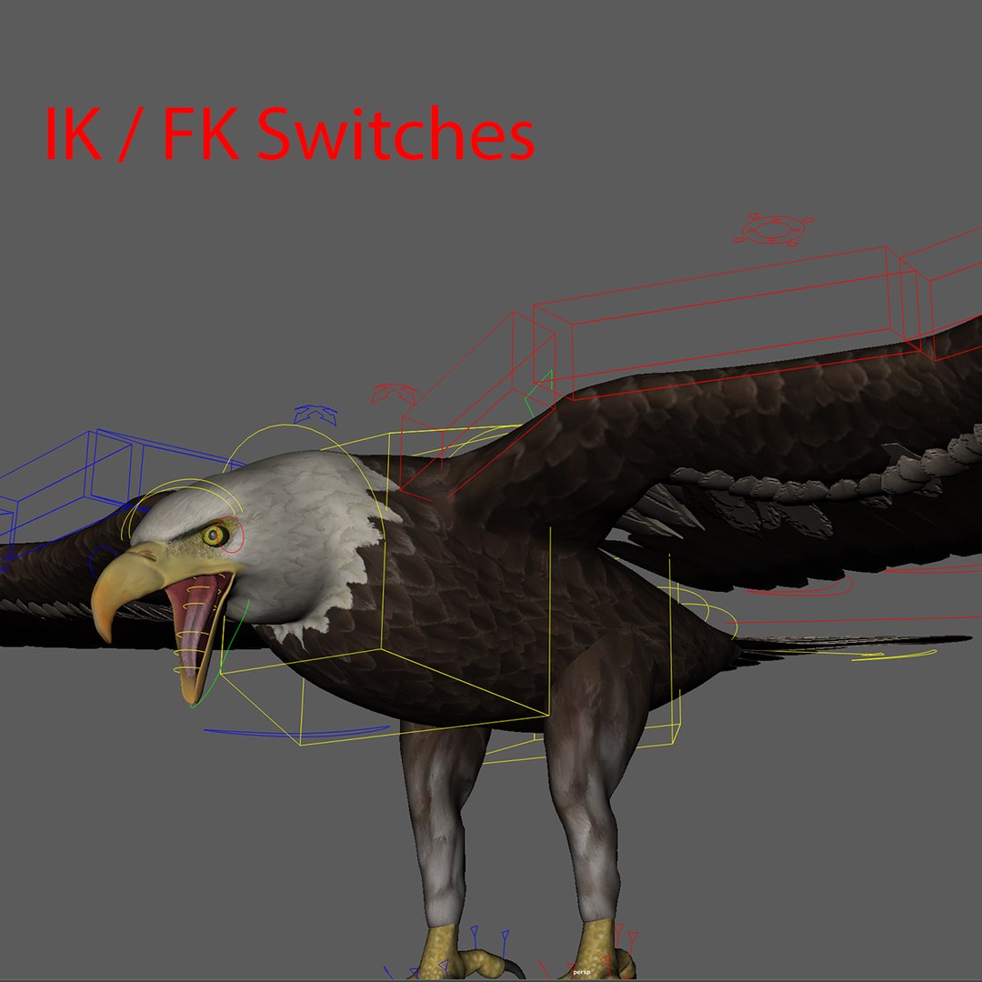 3D bald eagle rigged modelled model - TurboSquid 1377645