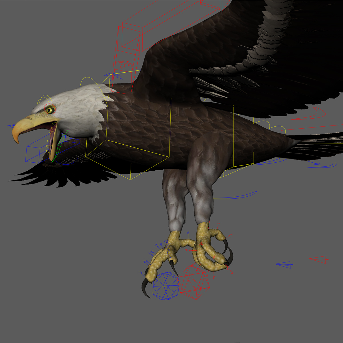 3D bald eagle rigged modelled model - TurboSquid 1377645