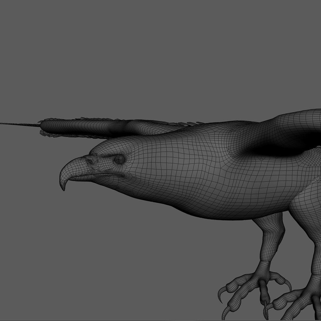 3D bald eagle rigged modelled model - TurboSquid 1377645