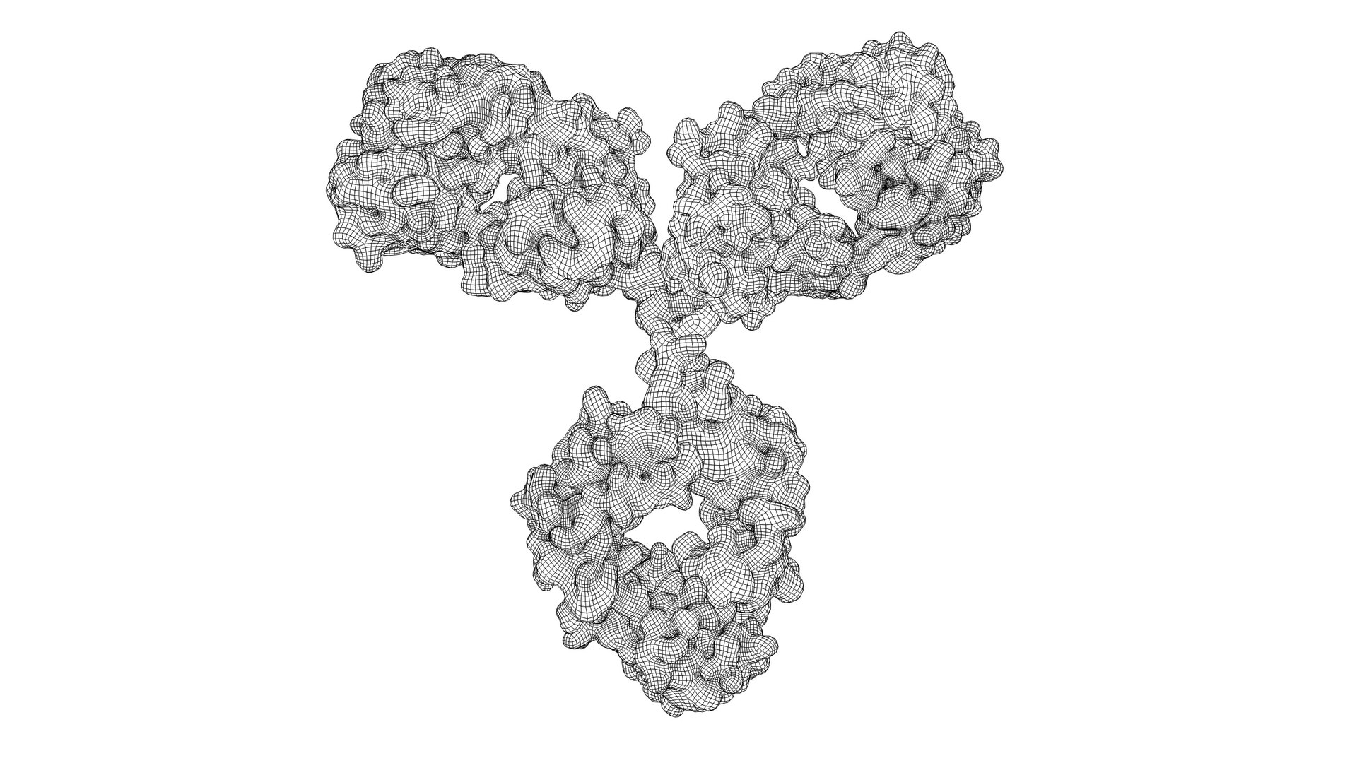 Human Antibody 3D model - TurboSquid 2183950