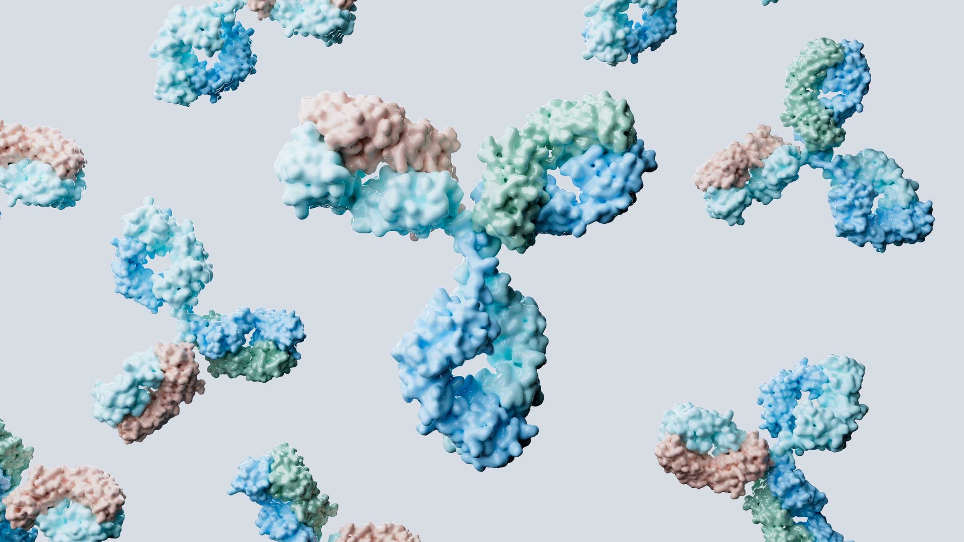 Human Antibody 3D model - TurboSquid 2183950