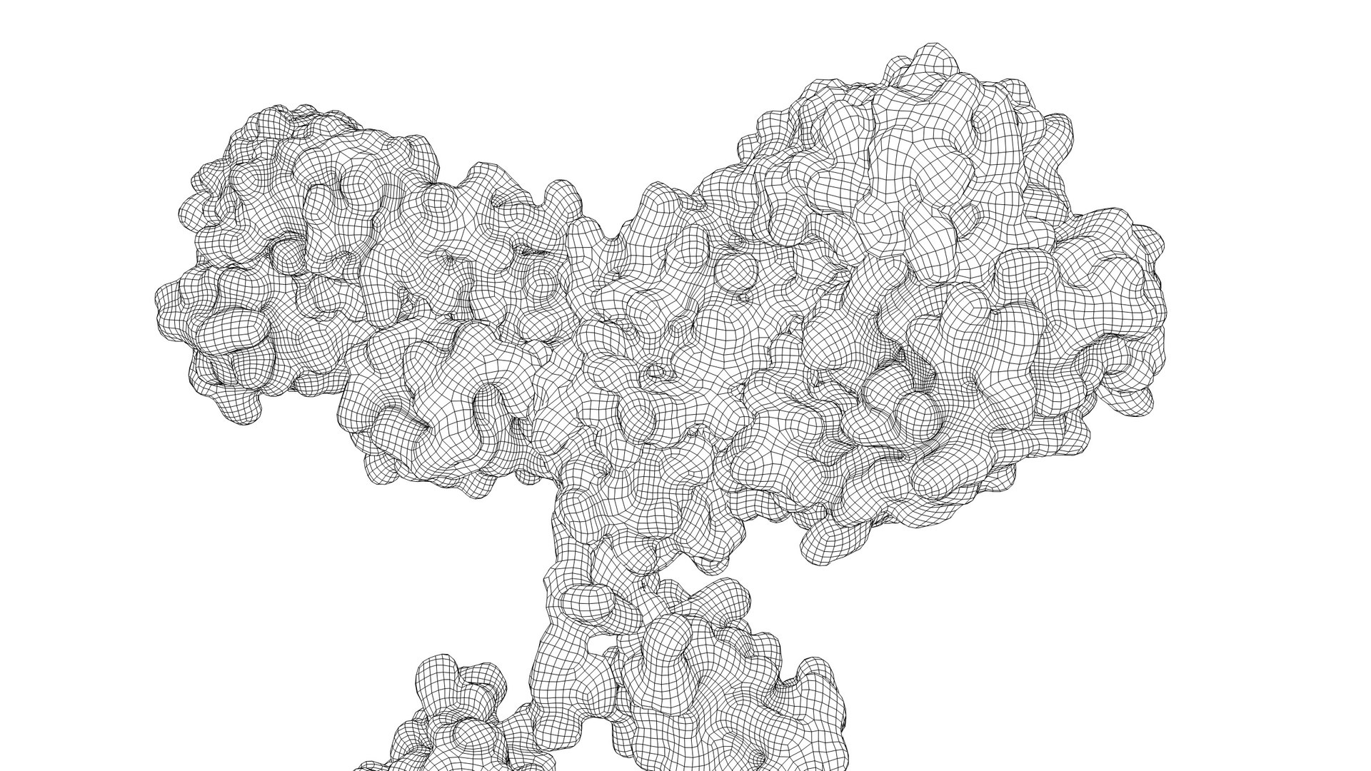 Human Antibody 3D model - TurboSquid 2183950