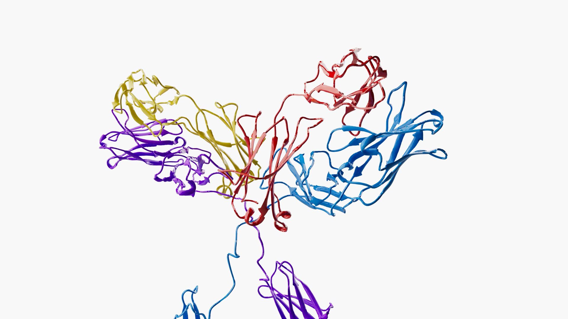 Human Antibody 3D model - TurboSquid 2183950