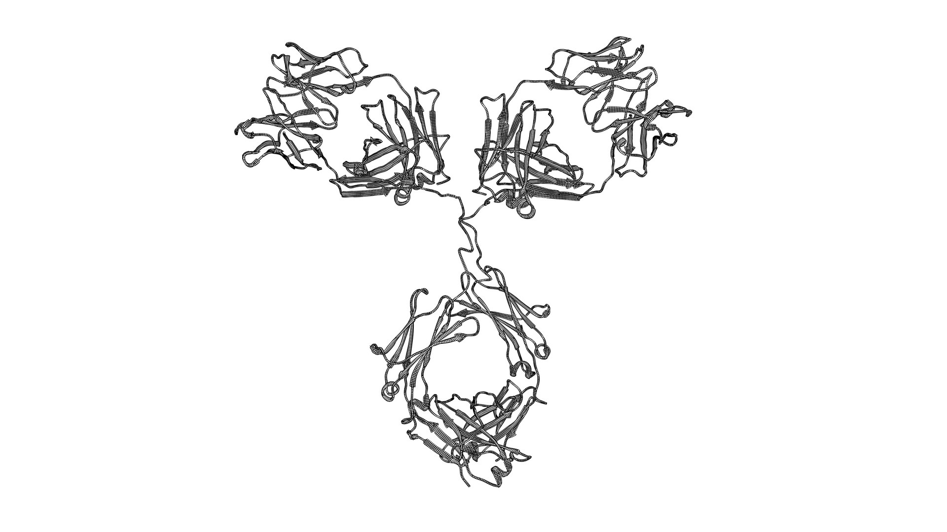 Human Antibody 3D model - TurboSquid 2183950