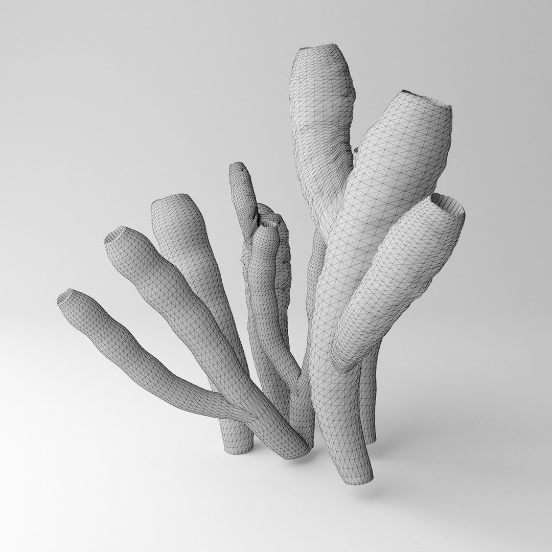 3D Tube Sponge - TurboSquid 1736908