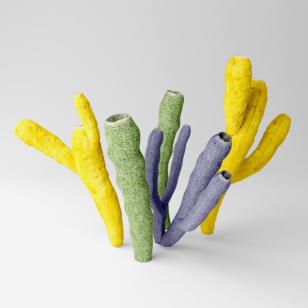 3D Tube Sponge - TurboSquid 1736908