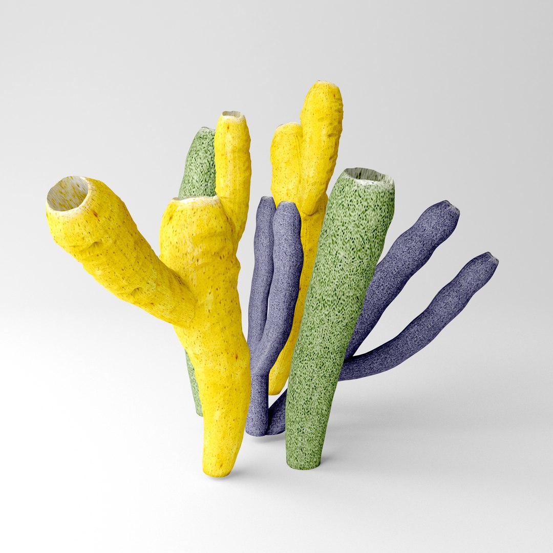 3D Tube Sponge - TurboSquid 1736908