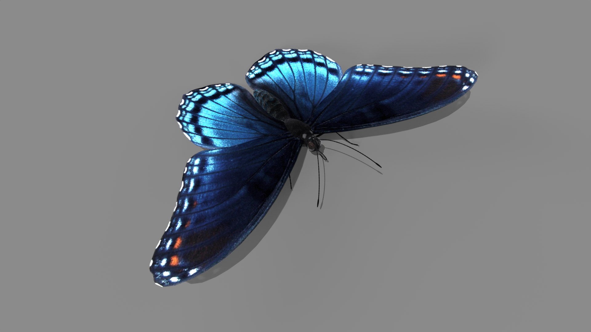 3D Model Butterfly 4 Pack - TurboSquid 2166330