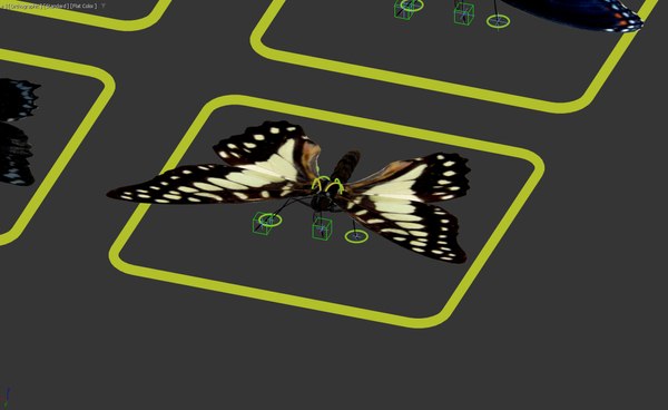 modelo 3d Paquete de 4 mariposas. - TurboSquid 2166330