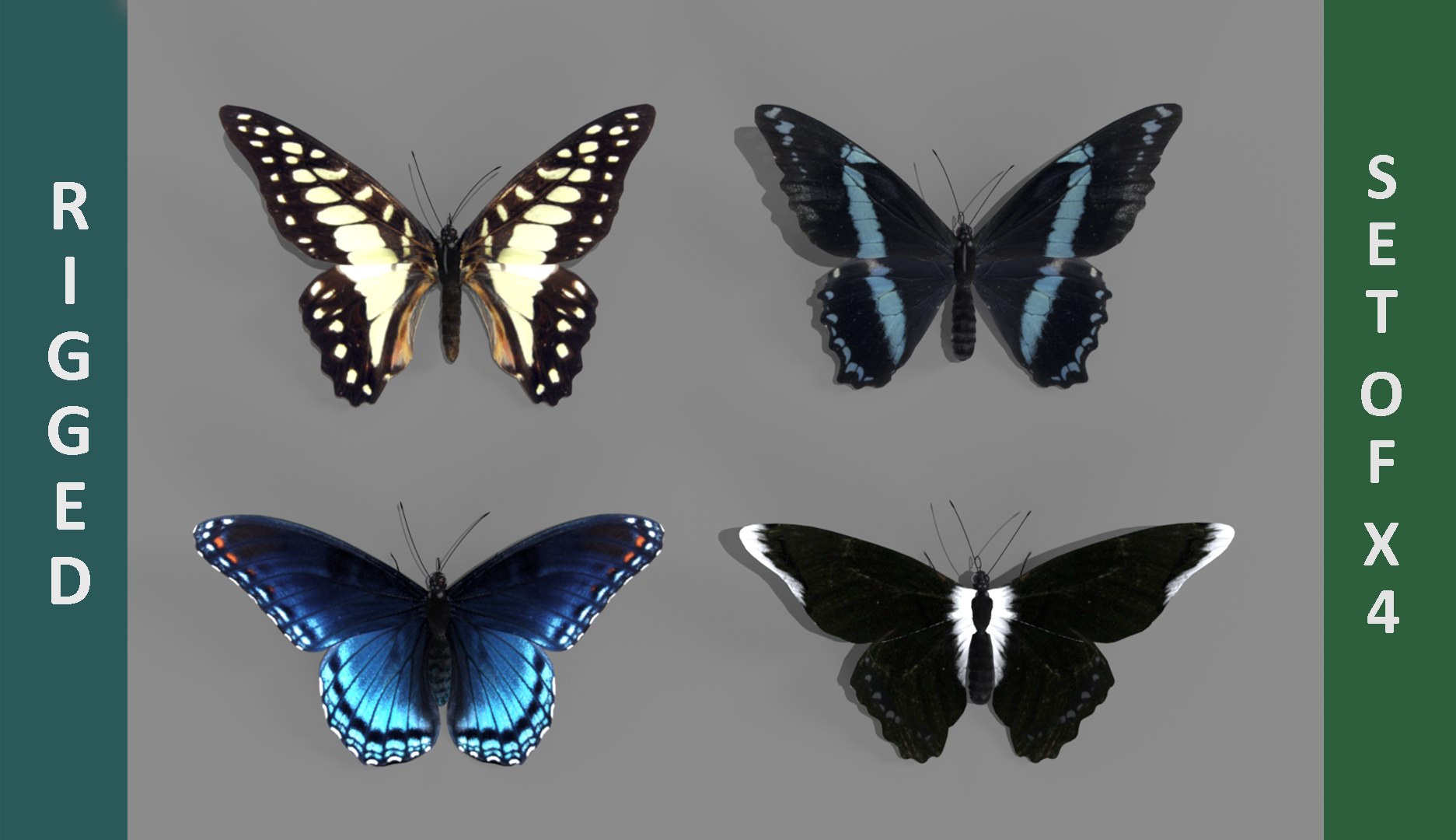 3D model Butterfly 4 pack - TurboSquid 2166330