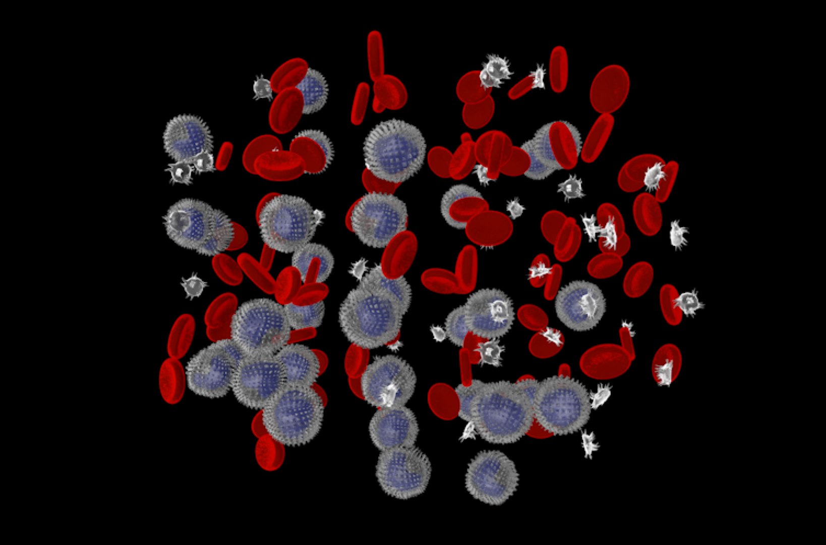 3d Microscopic Blood Cells