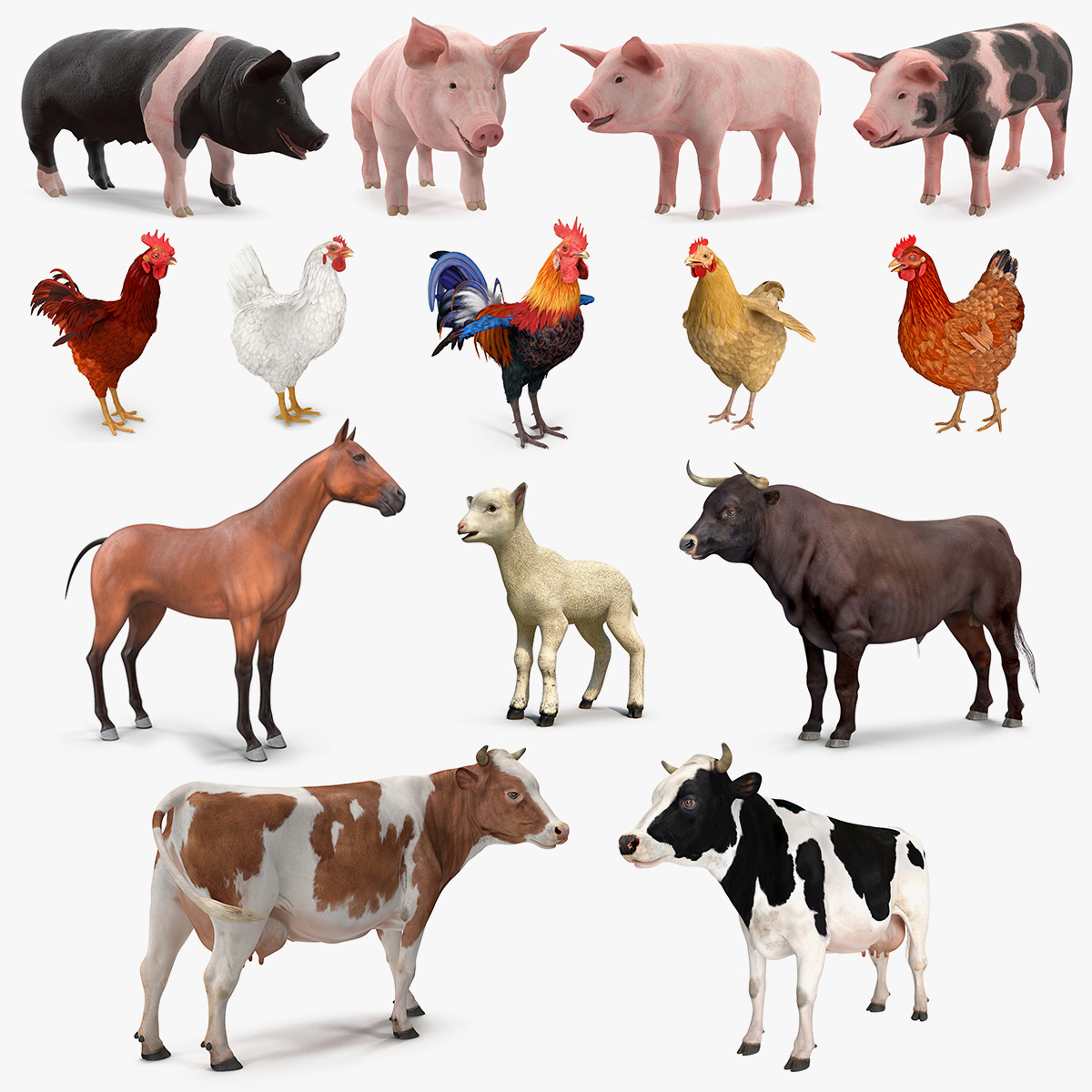 3D farm animals big 2 - TurboSquid 1520777