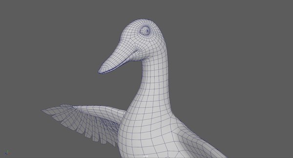 Cartoon Duck 3D Models for Download | TurboSquid