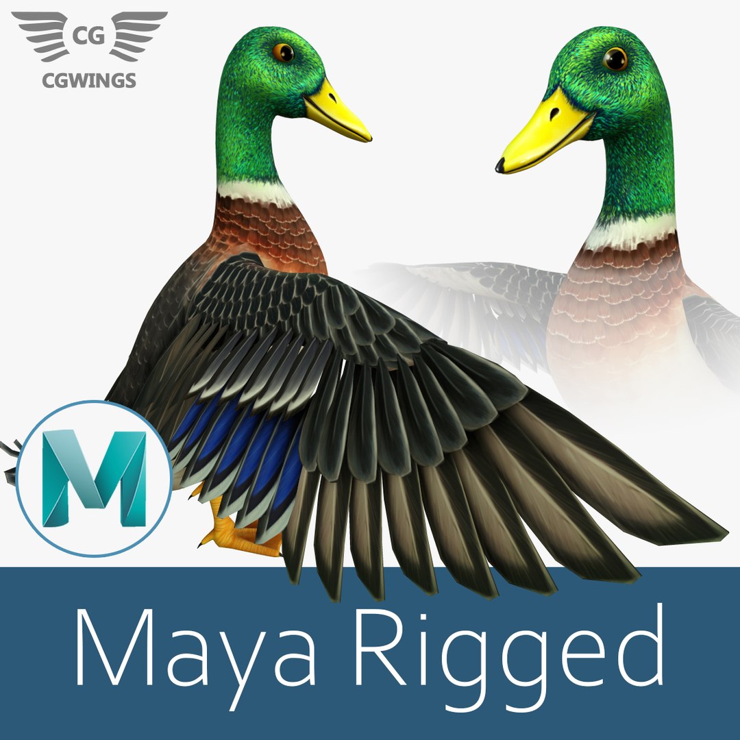 Stylized Duck 3D - TurboSquid 1595440