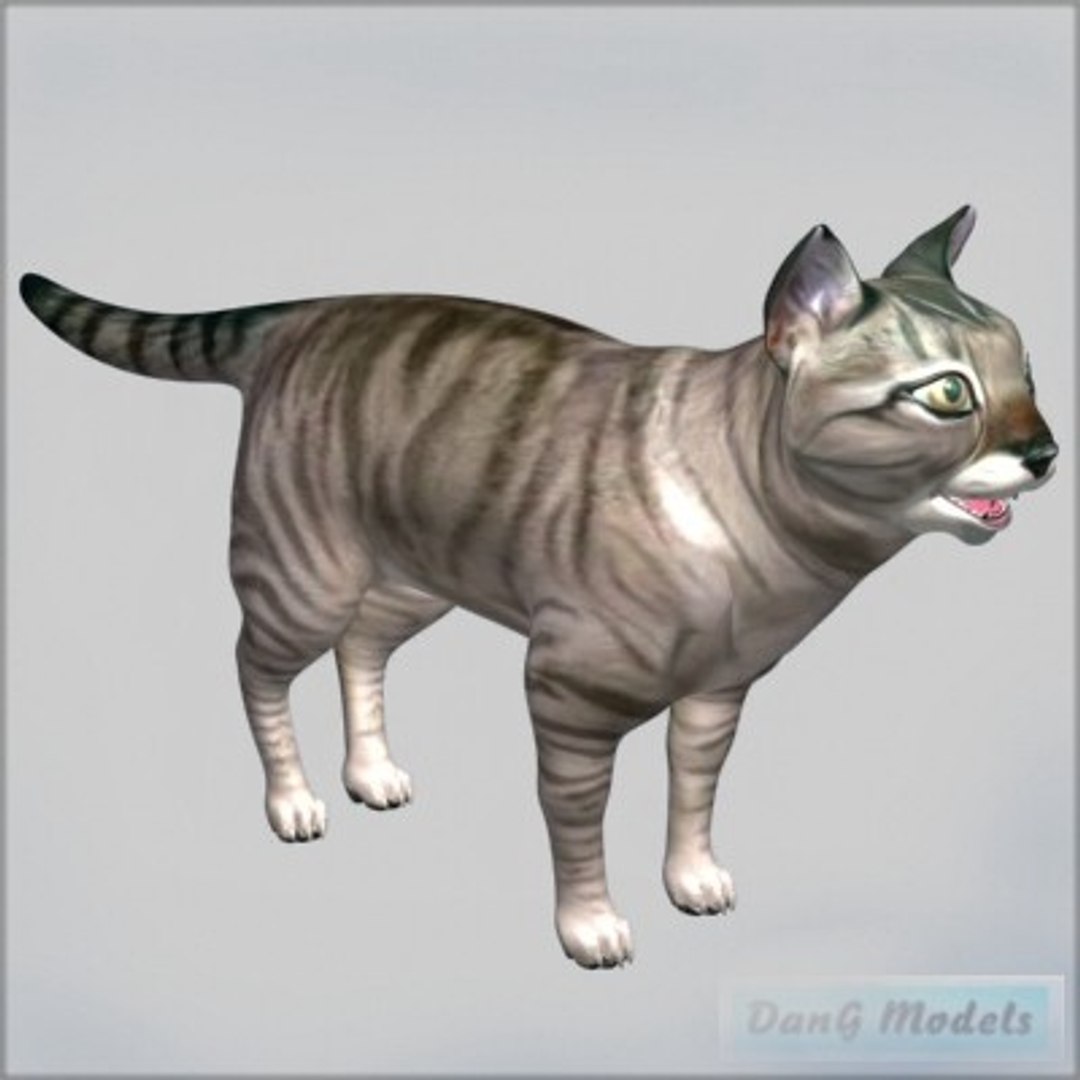 Tabby Cat 3d Model